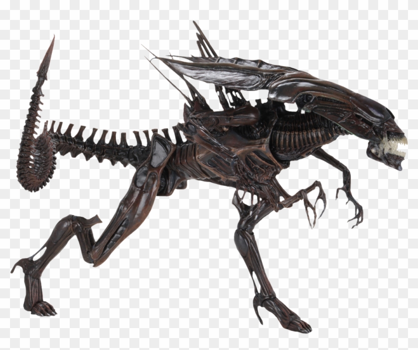 Download Alien Queen Deluxe 7” Scale Action Figure - Neca Alien ...