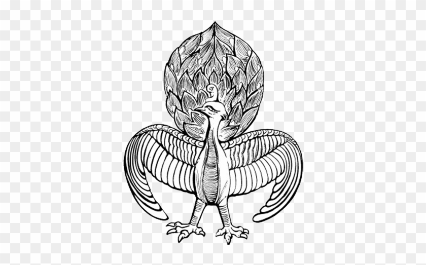 Drawing Raven Zentangle - Illustration Clipart (#3414022) - PikPng