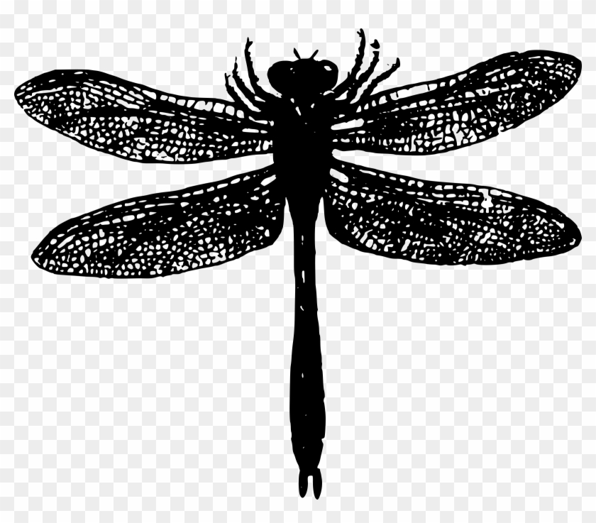 This Free Icons Png Design Of Basic Dragonfly Clipart (#352597) - PikPng