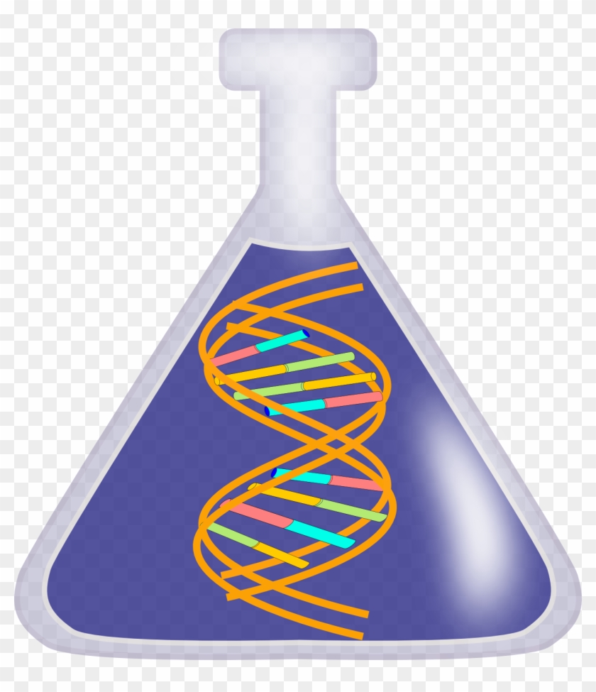 Dna Clip Art - Dna Clip Art Png Transparent Png (#3500077) - PikPng