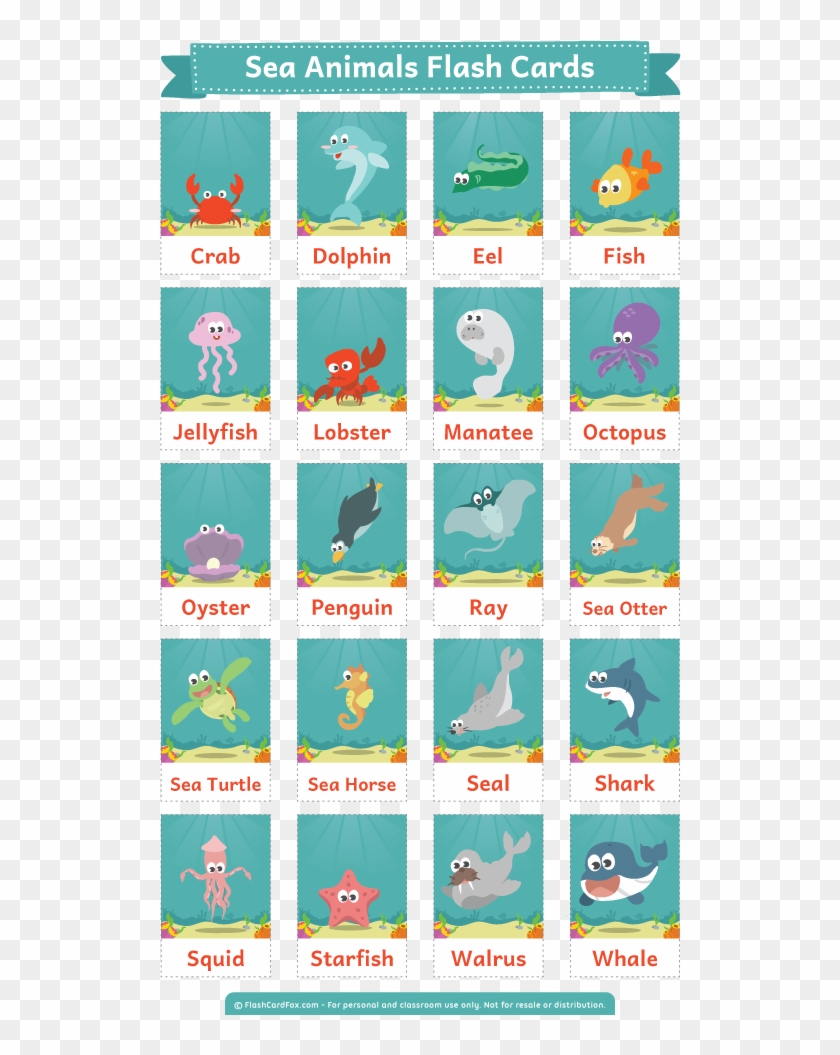 Clip Cards Ocean - Sea Animals Flashcards Printable - Png Download ...