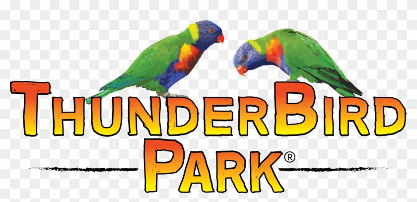 High Ropes Course, Attractions & Camping - Macaw Clipart (#3543137 ...