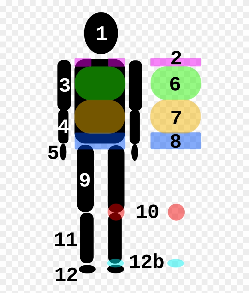 Download Stick Figure With Some Numbered And Colored Body Parts - Stick ...