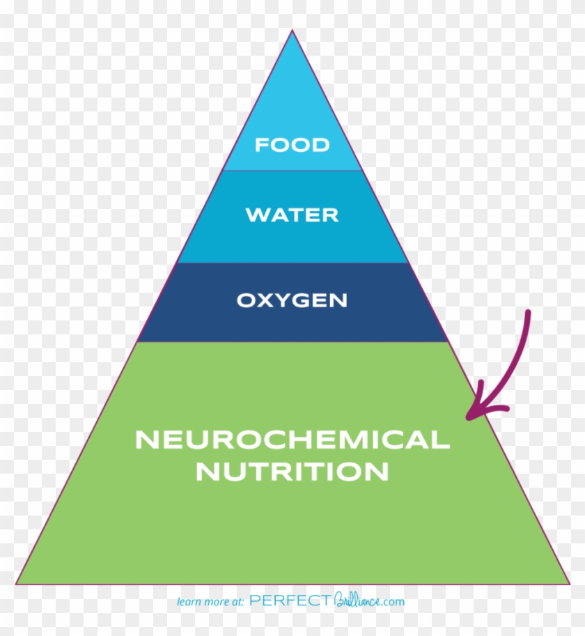 Learn More About Neurochemical Nutrition At Perfectbrilliance ...
