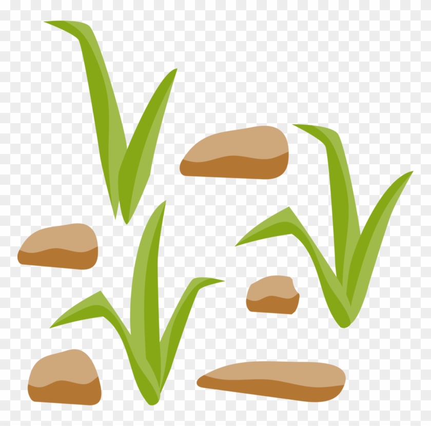 Grasses Rock Grass Gis Computer Icons Diagram - Clip Art - Png Download ...