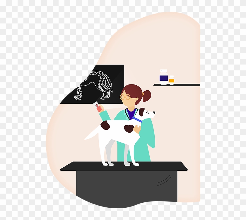Vet - - Cartoon Clipart (#3600866) - PikPng