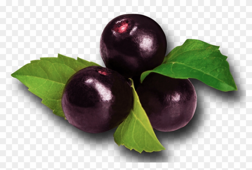 Acai Berries , Png Download - Transparent Acai Berries Png Clipart ...