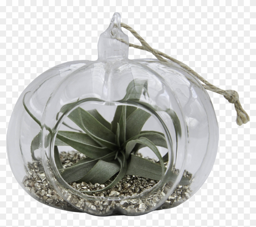 Download Quick View - Centrepiece Clipart Png Download - PikPng