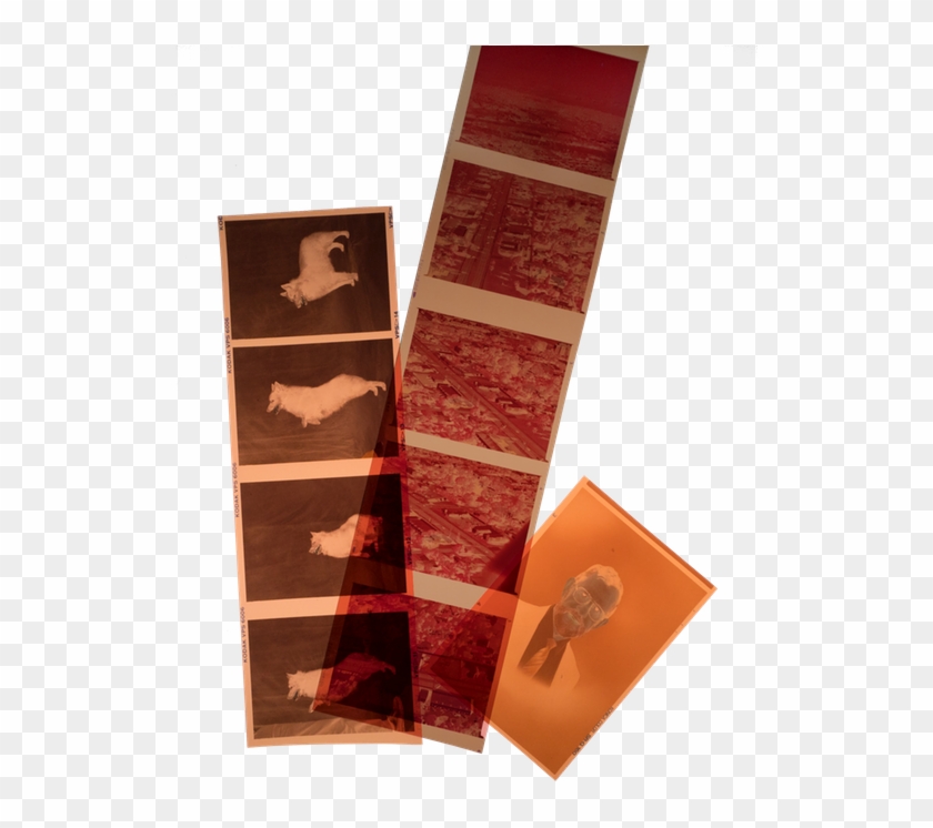 Scanning Of Most Negative Sizes Up To $5 - Buckle Clipart (#3693707 ...