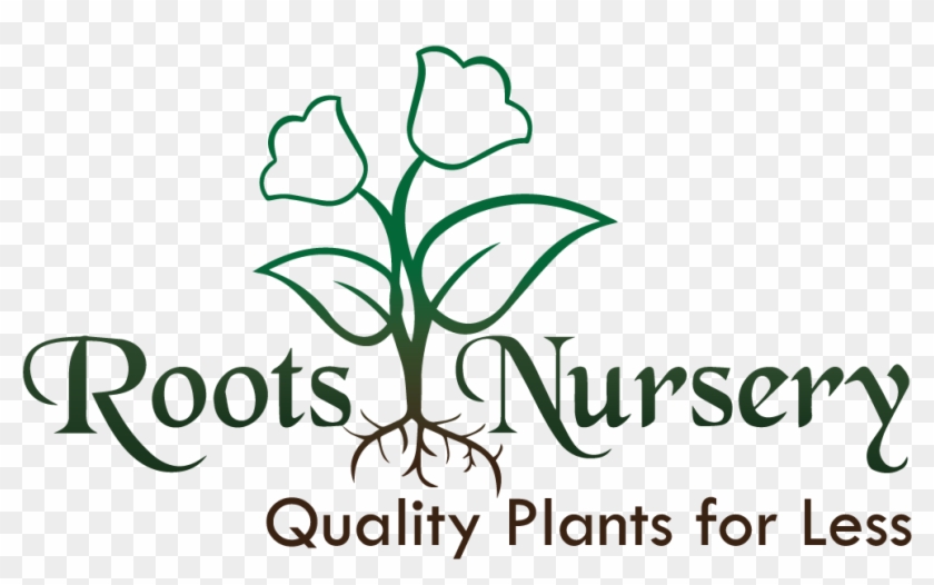 Download Garden Nursery Plants Nursery Logo Clipart Png Download - PikPng