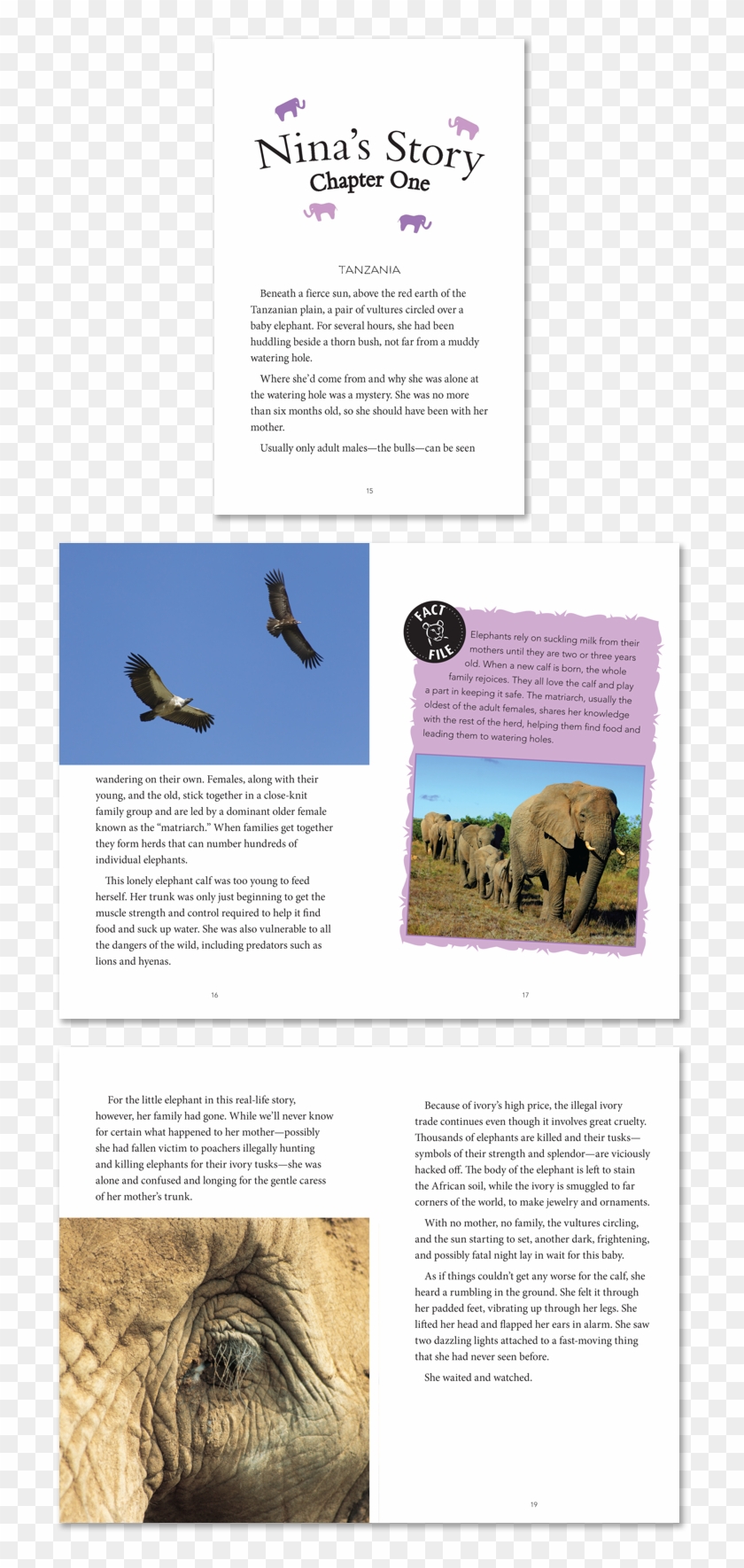 A True-life Story - Brochure Clipart (#3740908) - PikPng