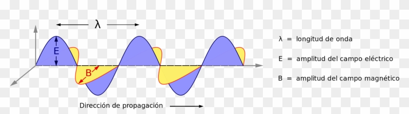 Exemplos De Ondas De Raios X