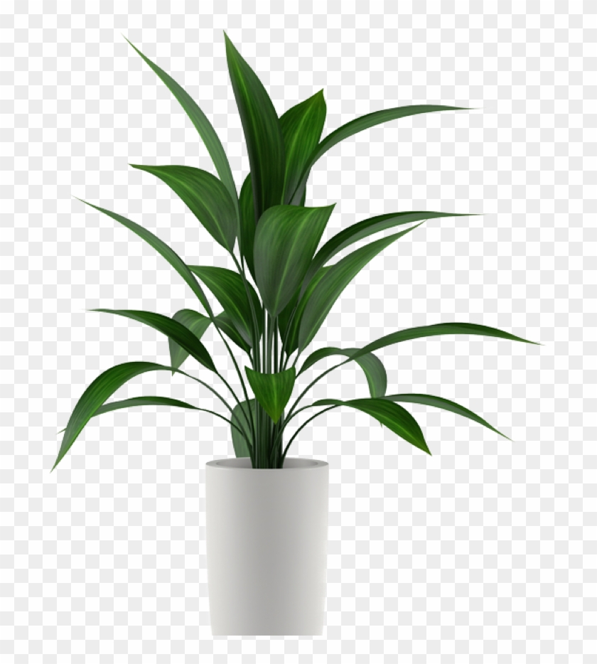 Really Nice Things Clipart (#3781204) - PikPng