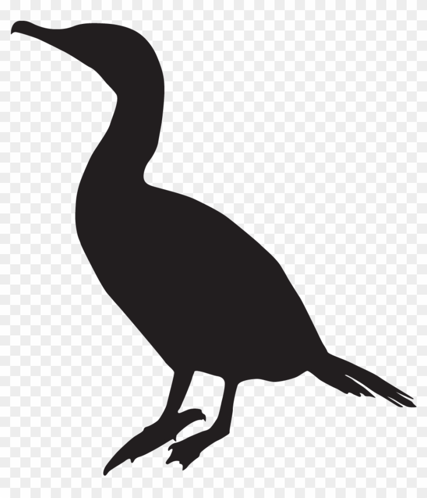 Anhinga - Cormorant Silhouette Clipart (#3820888) - PikPng