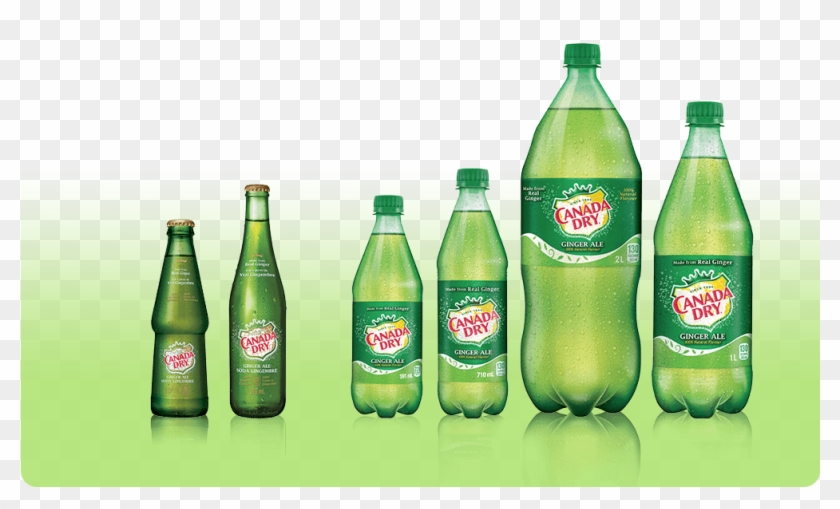 Canada Dry Ginger Ale Products In Different Bottle - Pop Bottle Sizes ...