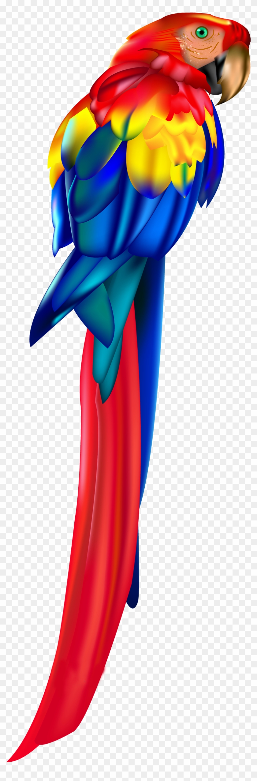 Red Parrot Png Clipart - Parrot Transparent Png (#403688) - PikPng