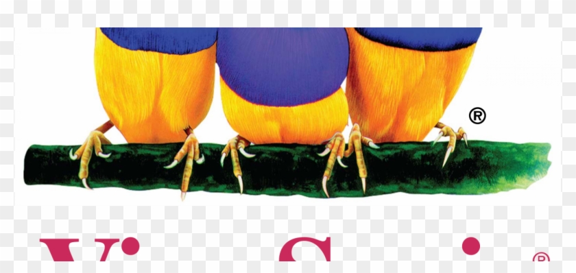 Download 1200px Viewsonic Logo - Viewsonic Logo High Res Clipart Png ...