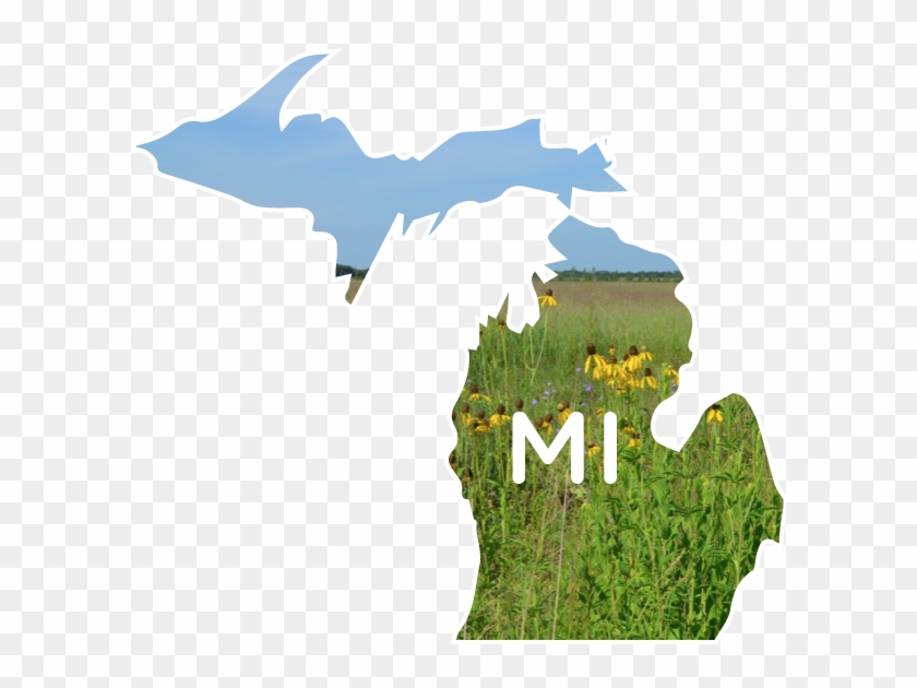 Shop - State Of Michigan Clipart (#4158580) - PikPng