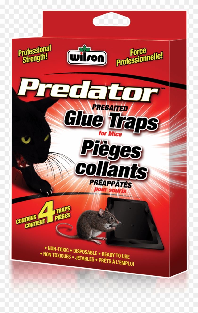 Wilson Predator Mice Glue Trap - Dead Bolt Clipart (#420740) - PikPng