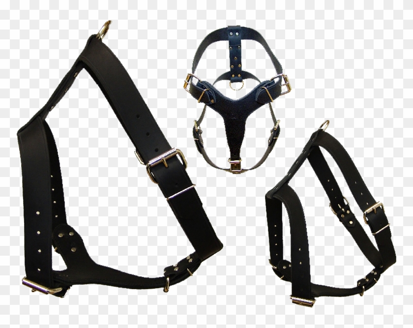 Leather Harness Harness Png Clipart (#4217143) - PikPng