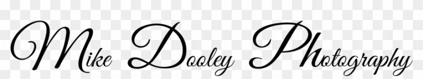 Mike Dooley Photography - Calligraphy Clipart (#4265646) - PikPng