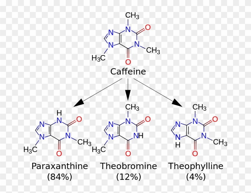 Paraxanthine Theophylline And Theobromine Clipart (#4294702) - PikPng