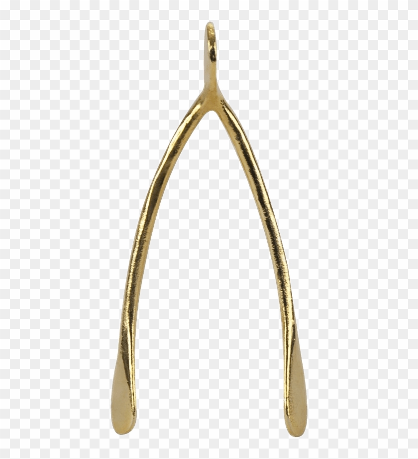 Download Objects - Wishbones - Wishbone Transparent Clipart Png ...