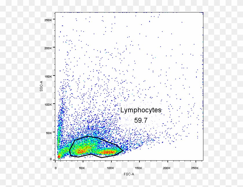 Download How To Gate The Lymphocytes In A Mouse Spleen Mononuclear ...