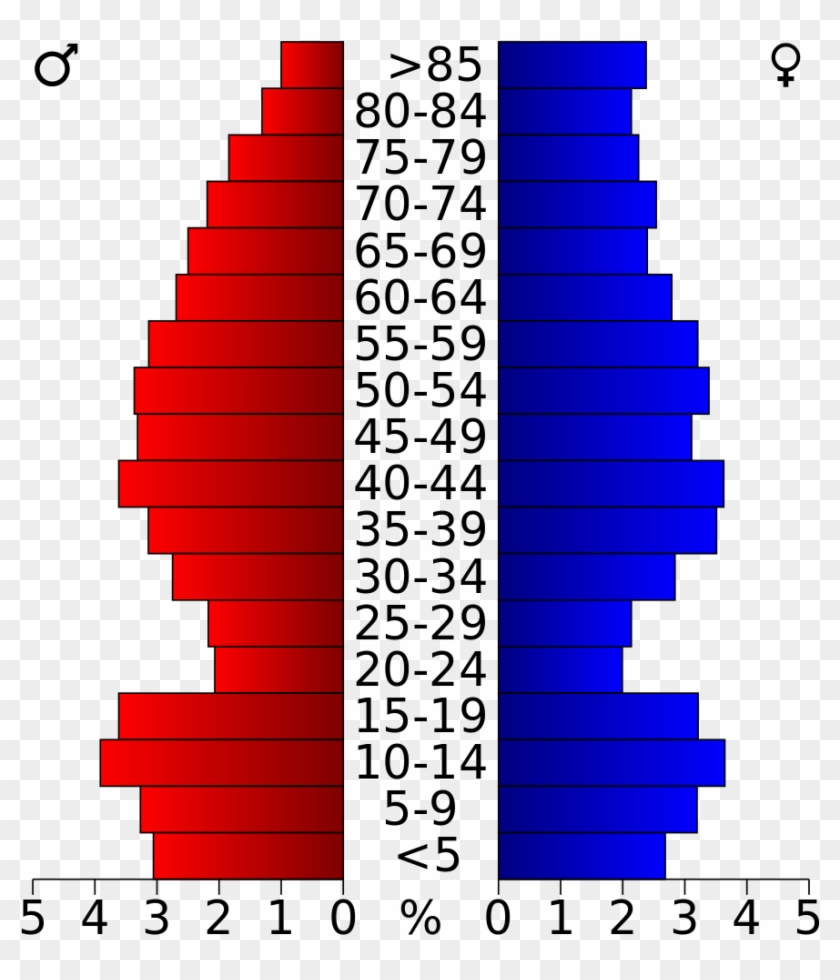 Population Pyramid