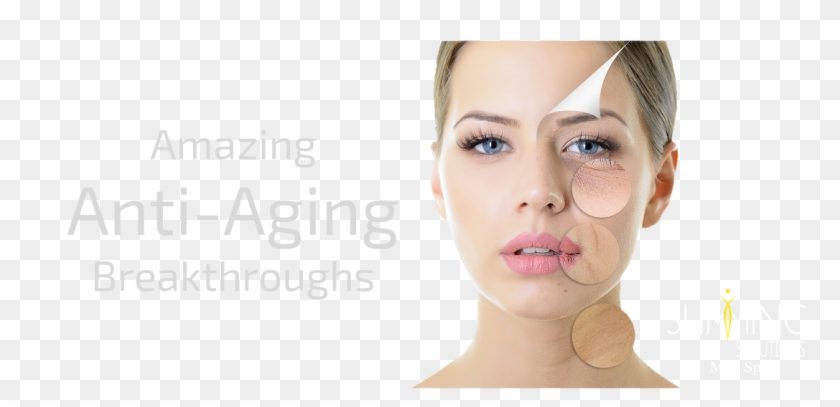 Banner Anti Aging - Stem Cell Therapy For Skin Rejuvenation Clipart ...