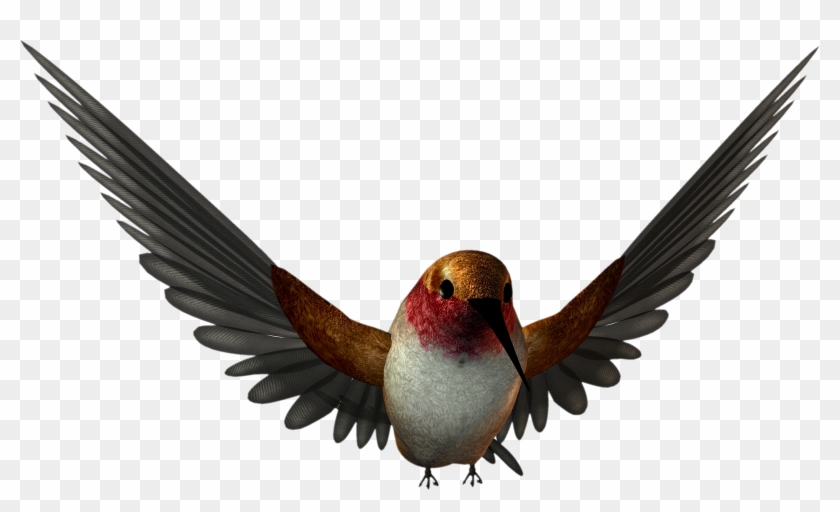 Free High Resolution Graphics And Clip Art - Png Graphics Transparent ...