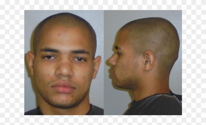 Palm Coast Man Sentenced To 15 Years In Prison In Statutory - Buzz Cut ...