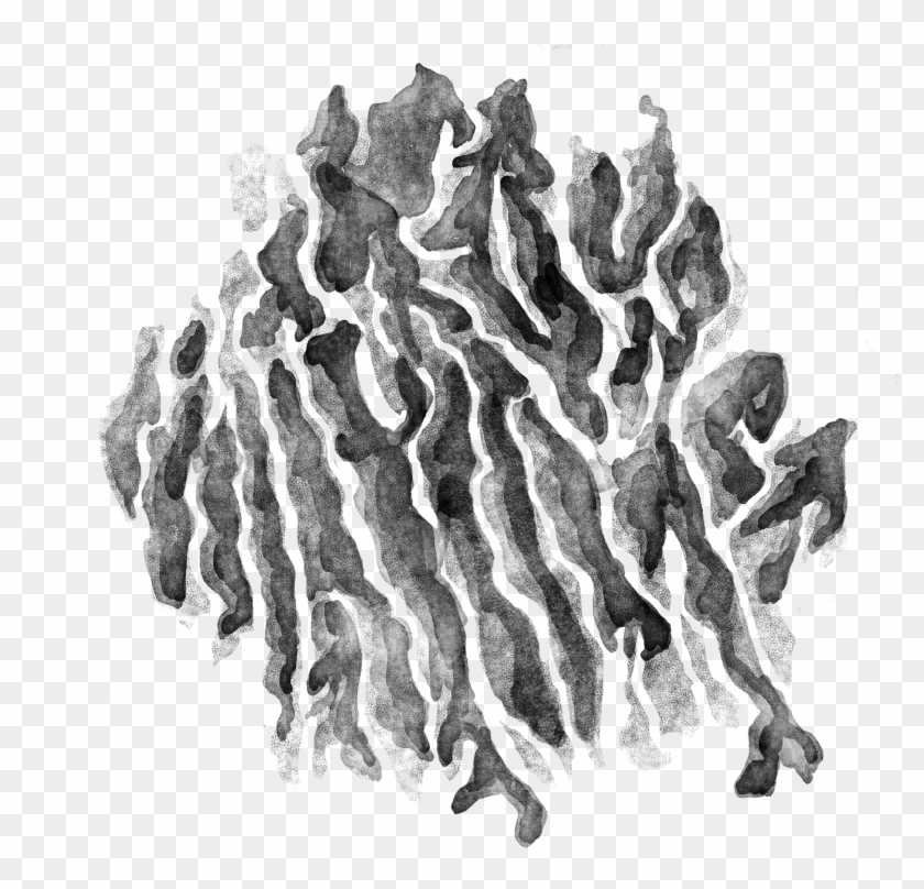 Arena - Volcanic Rock Clipart (#4454747) - PikPng