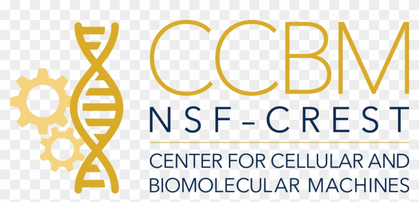 Download Uc Merced Logo - Ccbm Uc Merced Clipart Png Download - PikPng