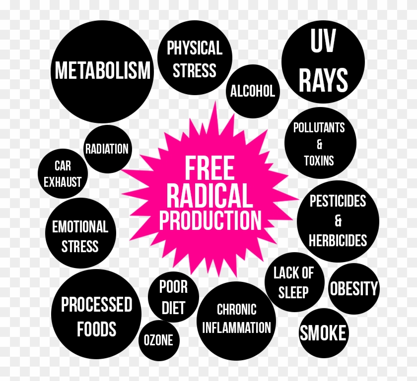 Sources Of Free Radicals - Free Radical Production Clipart (#4458988 ...