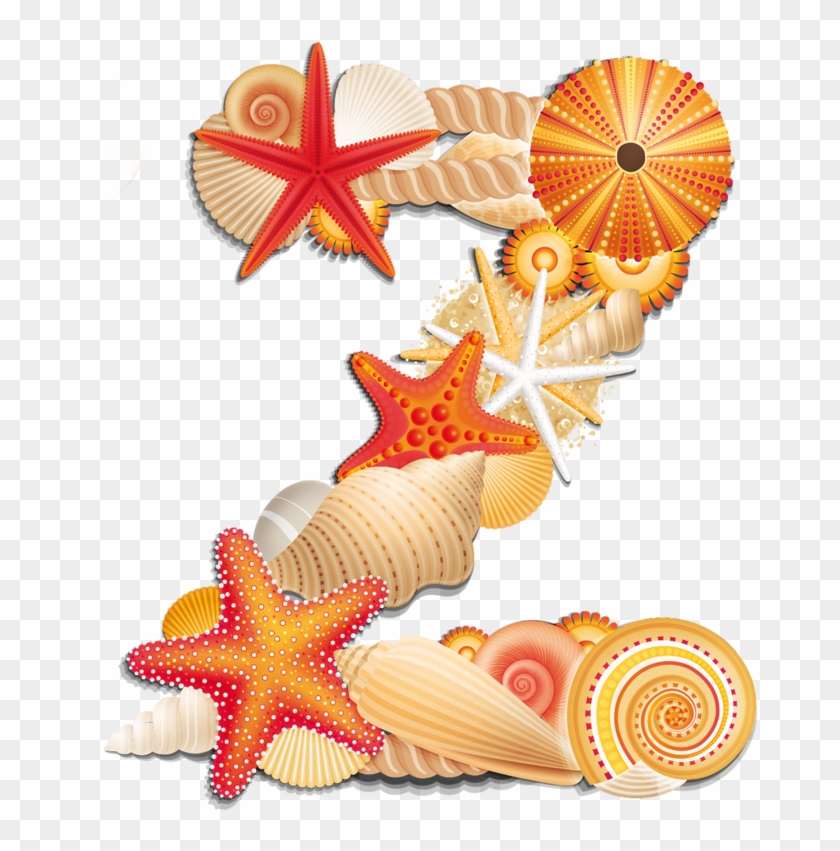 Beach Letter Z - Seashell J Scrapbook Alphabet Png Clipart (#4525528 ...