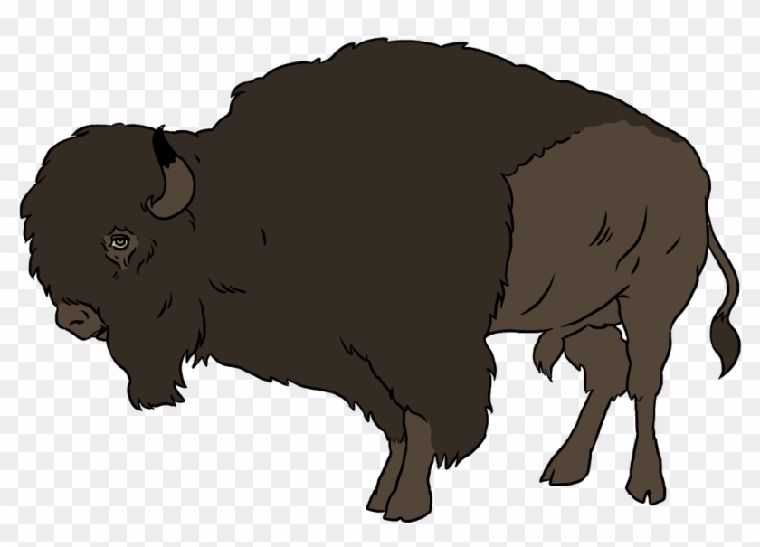 Buffalo, Bright Images - Bison Clipart (#4534721) - PikPng