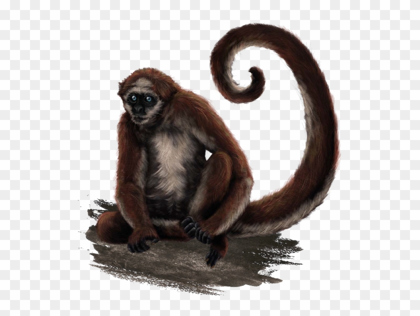 Mono Araña - - Great Ape Clipart (#4610793) - PikPng