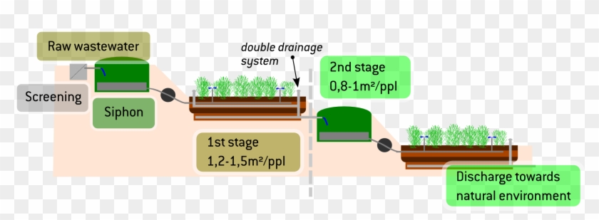Cartoon Clipart (#4661733) - PikPng