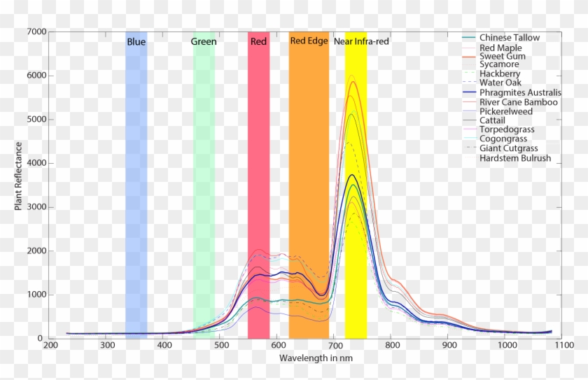 Typical Plant Reflectance Characteristics Of Various - Micasense ...