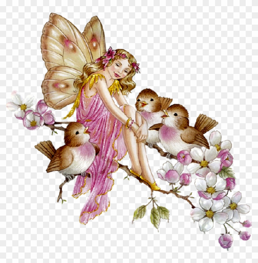 Good Morning Bird Gif , Png Download - Good Morning Birds Gif Clipart ...