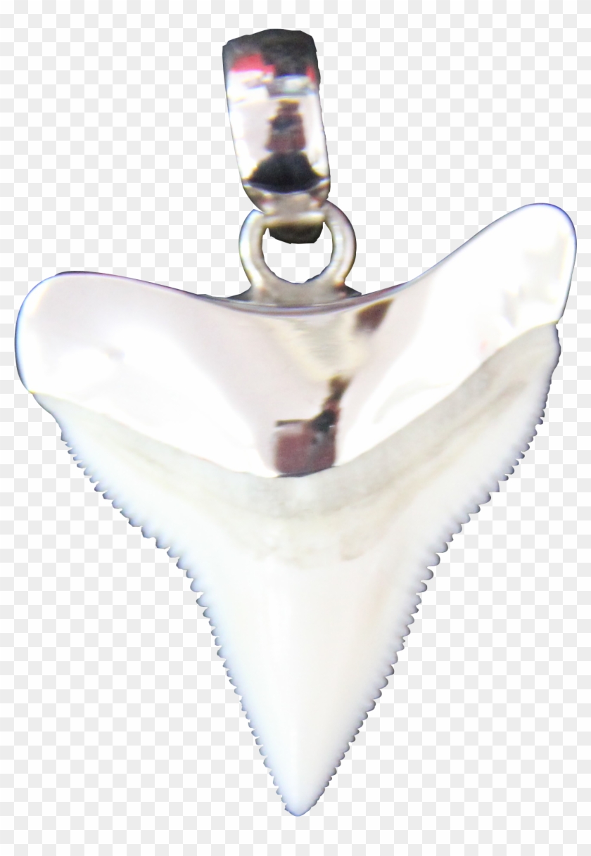 Shark Tooth - Pendant Clipart (#4744465) - PikPng