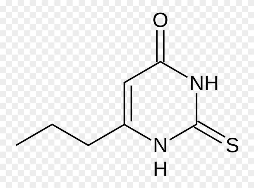 Org, Propylthiouracil Drug Lable - Chemical Structure Of Thymine ...