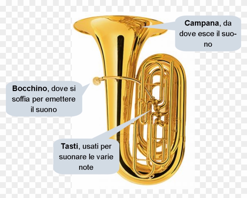 Download Tuba - Tuba Instruments Clipart Png Download - PikPng