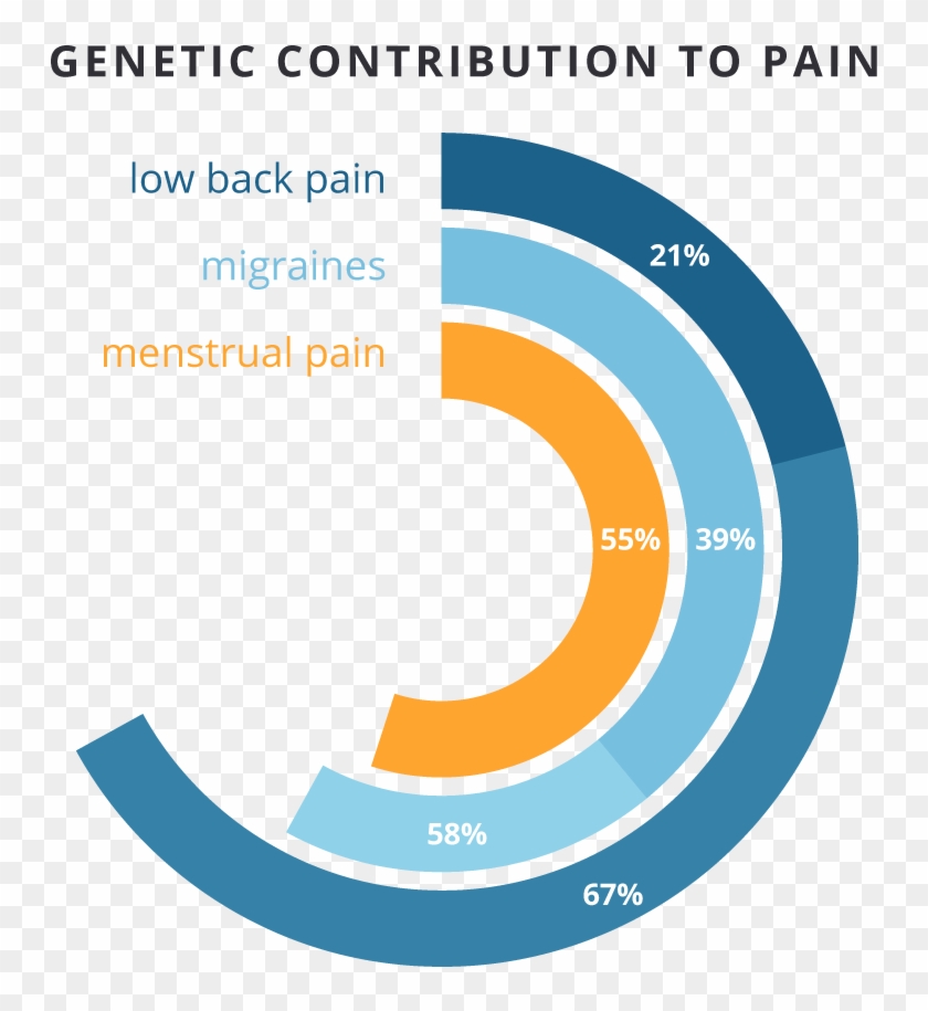 Genetic Contribution To Pain Chart - Graphic Design Clipart (#4856467 ...