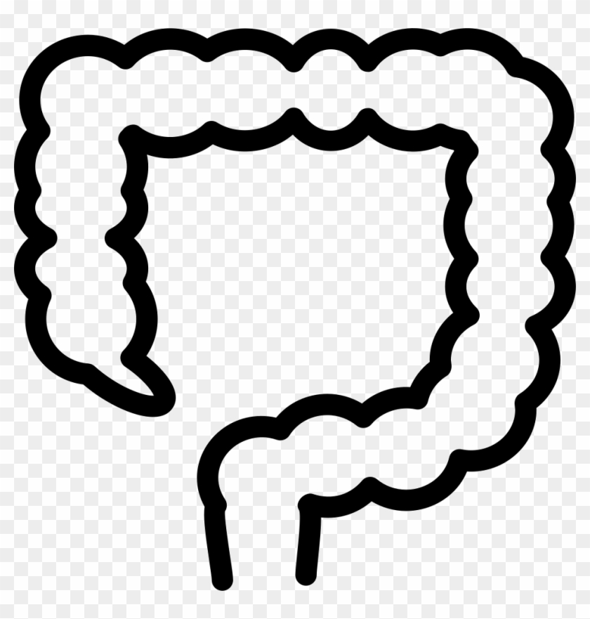 Png File Svg - Large Intestine Icon Png Clipart (#4858535) - PikPng