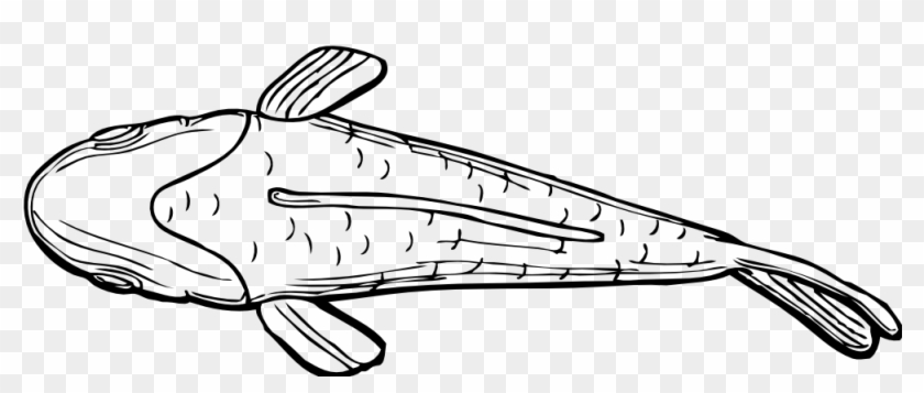 Fish Top View Black White Line Art 999px 66 - Fish Top View Png Clipart ...