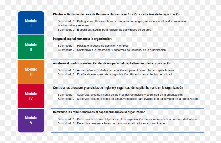 Durante Su Formación Académica El Técnico En Administración - Technique ...