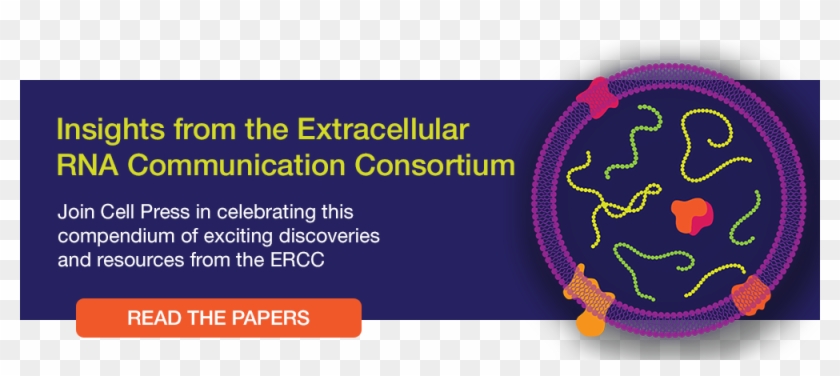 New Call To Action - Graphic Design Clipart (#5027683) - PikPng