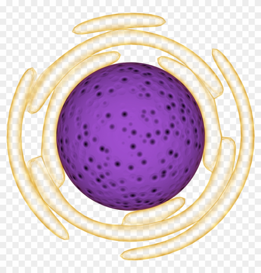 Nucleus 1080×1080 949 Kb - Nucleus Png Clipart (#5048843) - PikPng